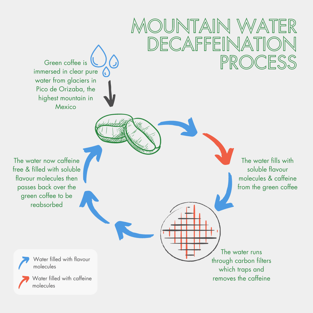 Mountain Water Process (MWP) Decaf Process